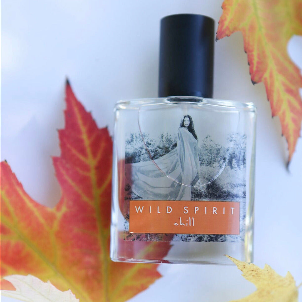 Chill-Worthy Pinterest Recipes for Fall from Wild Spirit
