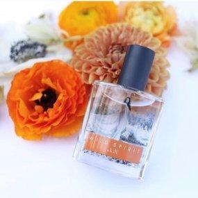 Chill | Warm Vanilla from Wild Spirit
