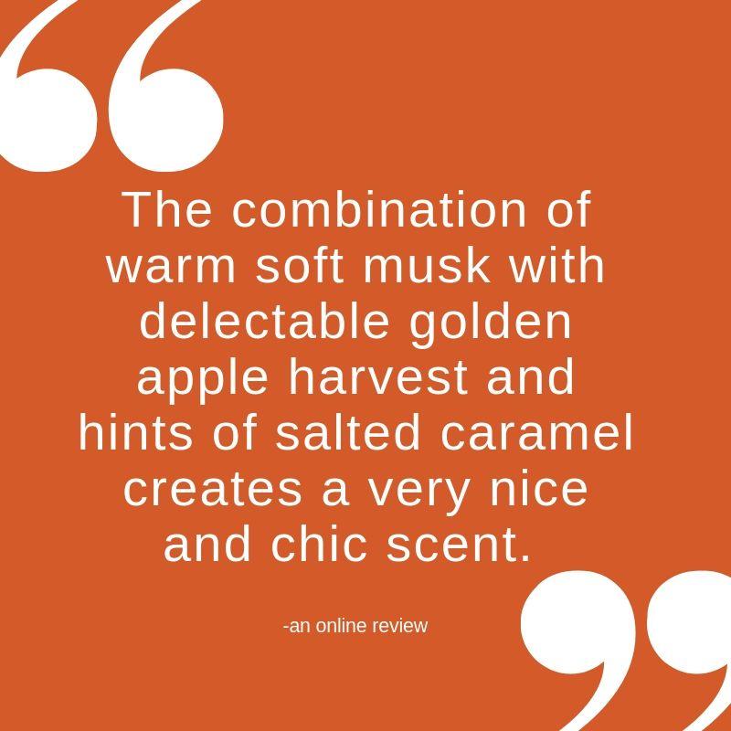 Chill | Warm Vanilla from Wild Spirit