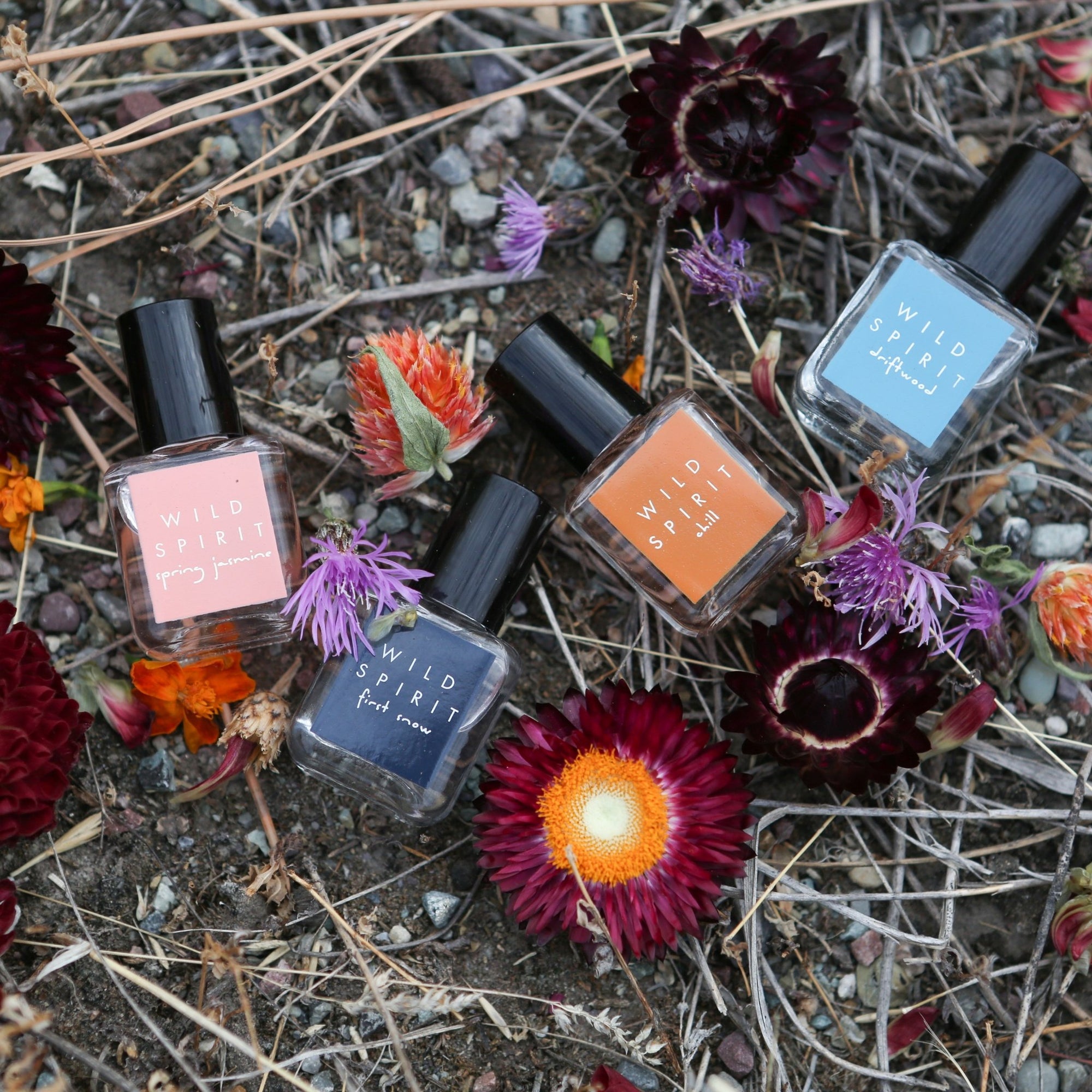 Fragrance Discovery Set, 4-Piece Perfume Collection from Wild Spirit